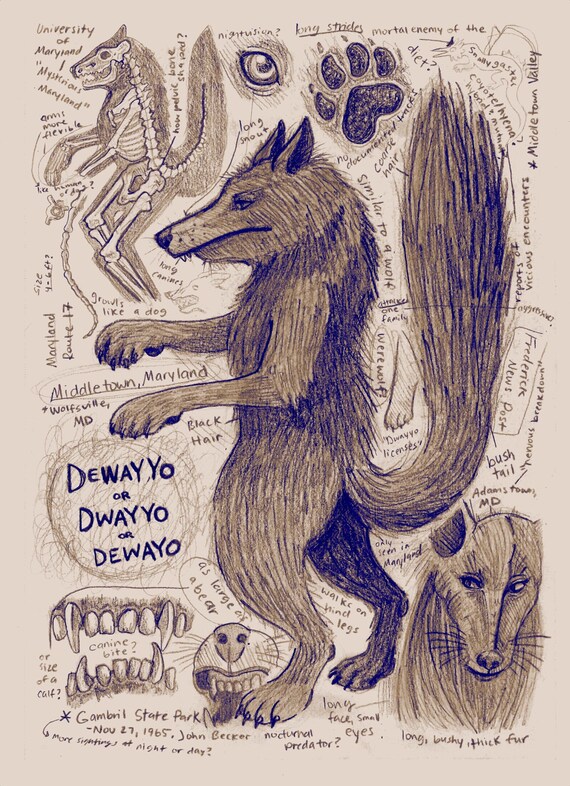 Werewolf Eyes Drawings