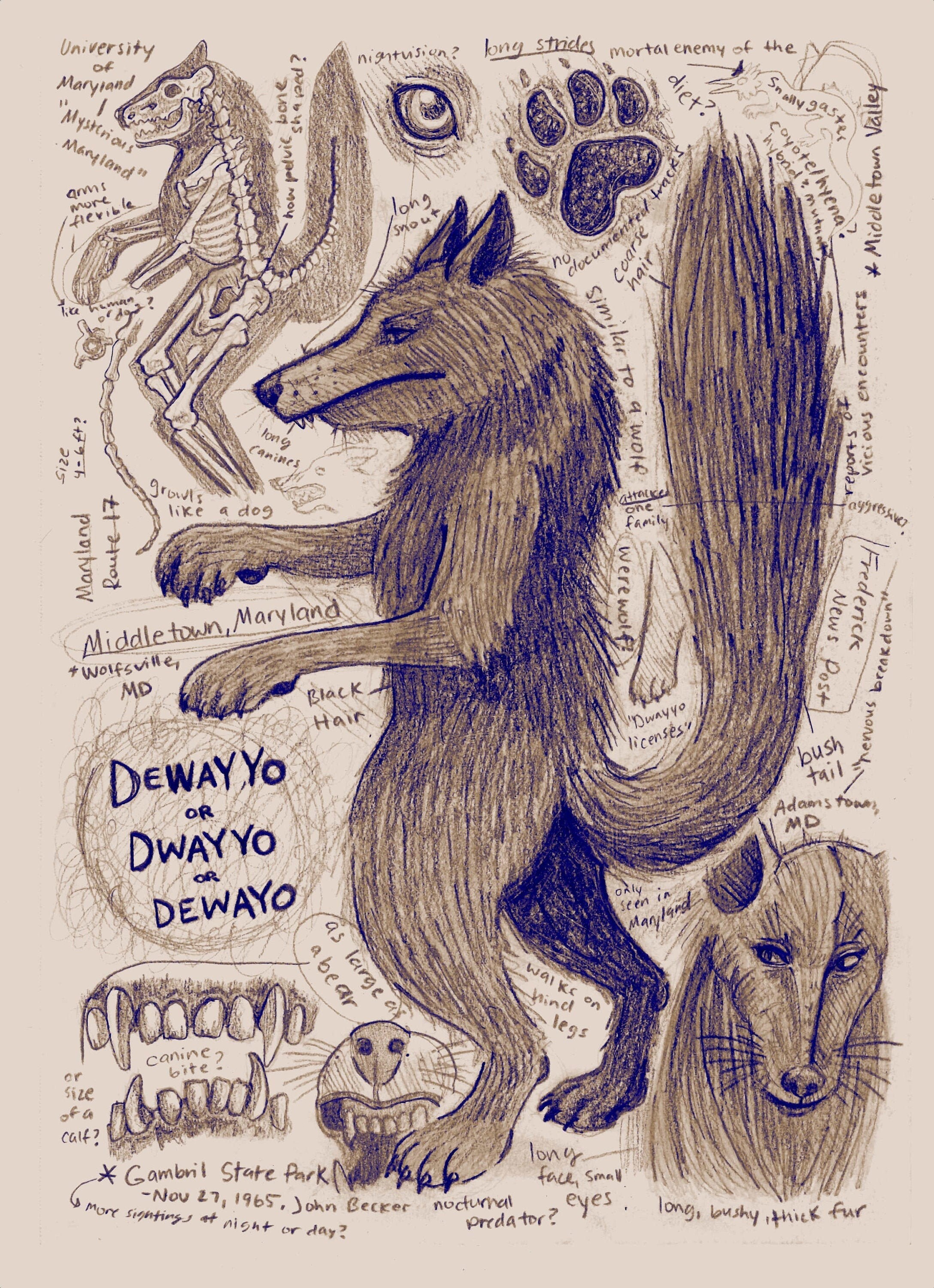 Lycan Sketches
