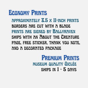 Bigfoot Cryptid Anatomy Art Yahoo, Woodland Crooner, Blue Ridge Mama ...