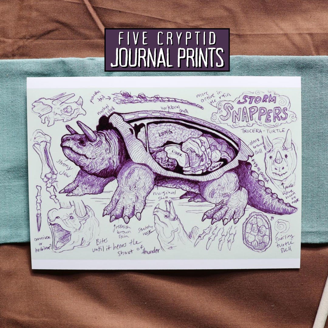 Cryptid Journal Sketch Print: Storm Snapper Field Guide Art - Etsy