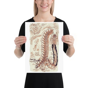 Fireco Monster, a Cryptid Centipede: Insect Bestiary Art Print - Etsy
