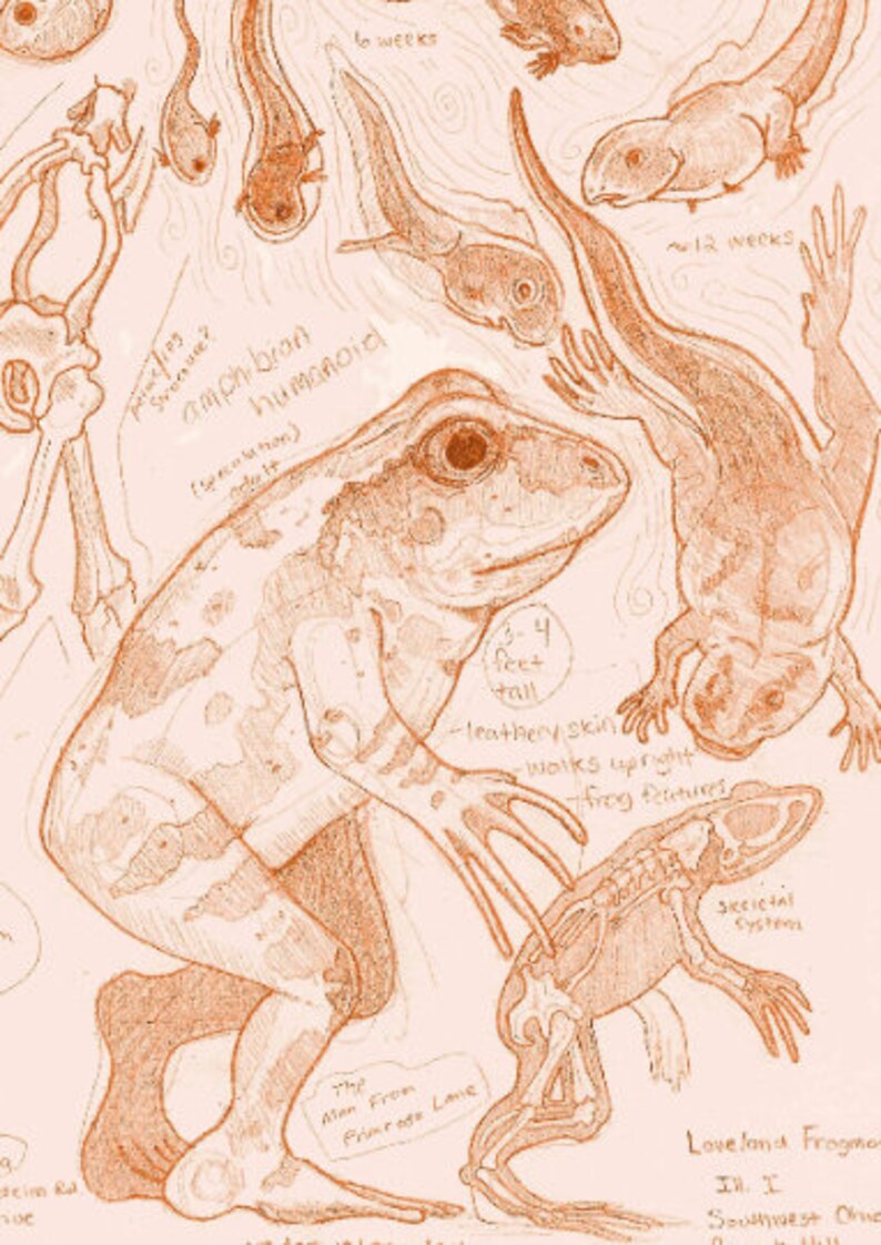 Custom Cryptid Pet Sketch & Portrait - Etsy