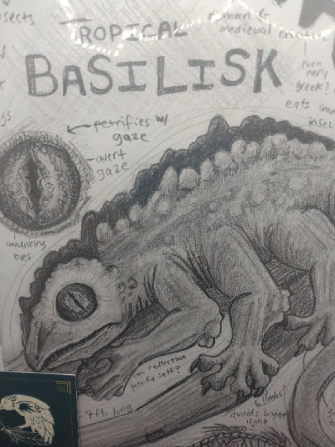 Tropical Basilisk: Fantasy Bestiary Print | Etsy