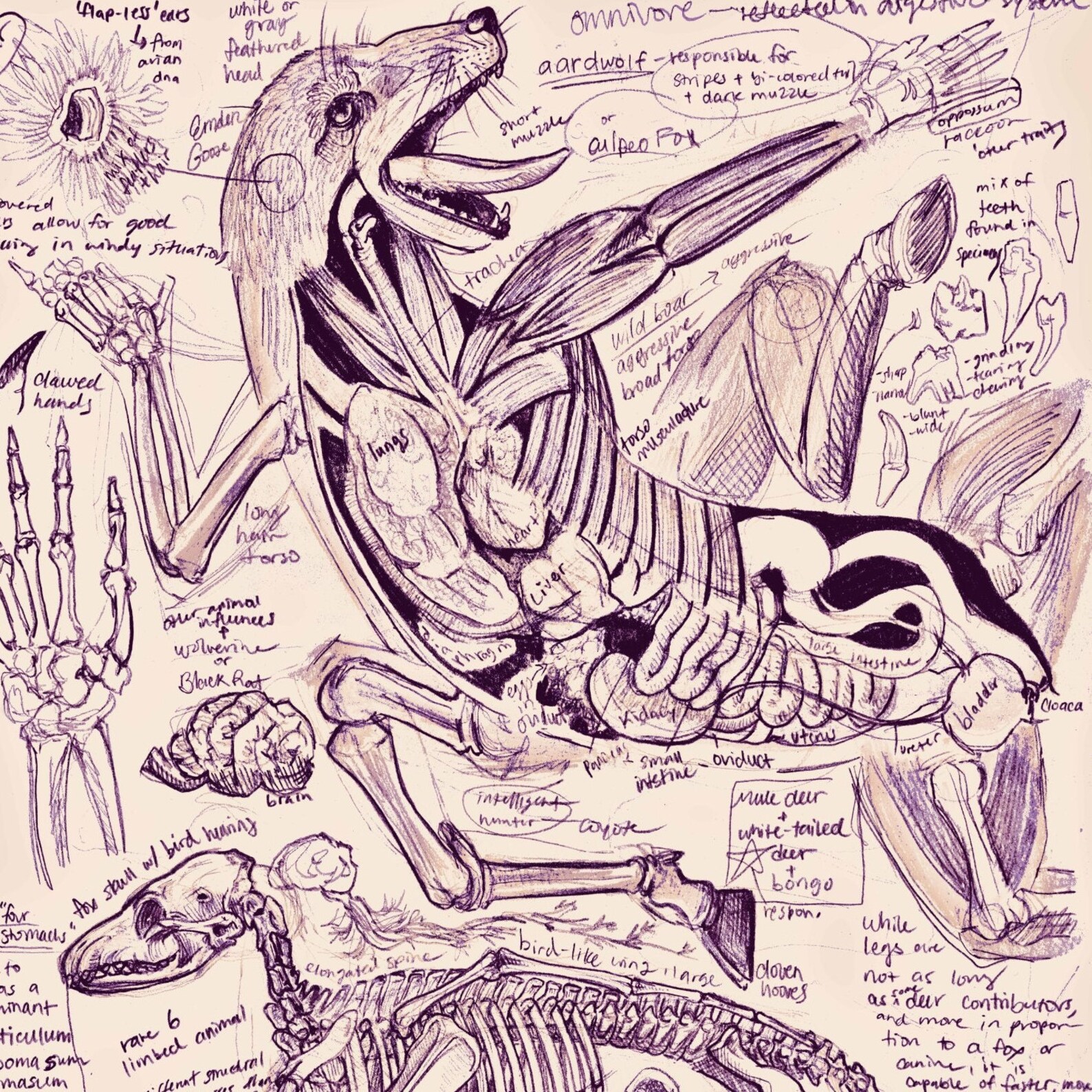 Abbagoochie a Mythical Chimera : Cryptid Bestiary Print - Etsy