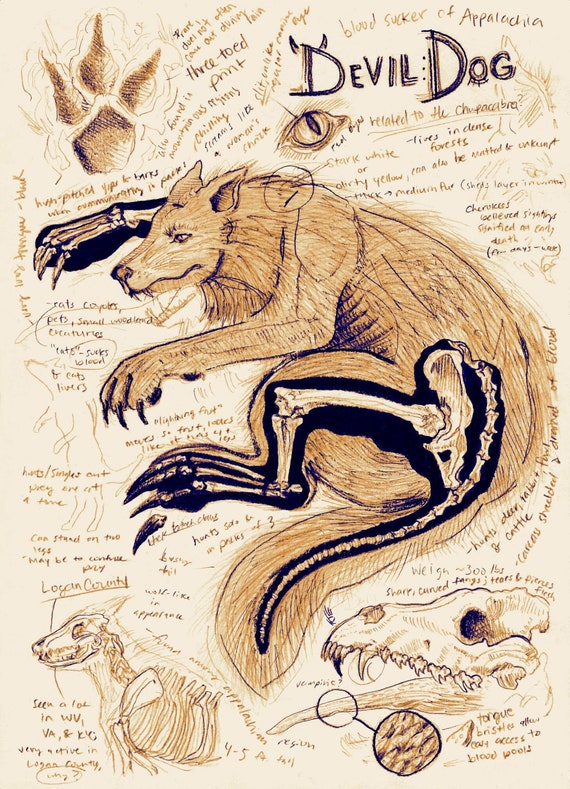 Devil Dog Hellhound Cryptid Anatomy Study Print - Etsy.de
