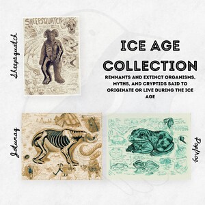 Prehistoric Cryptids, Dinosaurs, Ice Age Animals, and Myths Field ...