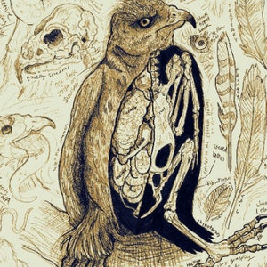 Custom Cryptid Pet Sketch & Portrait - Etsy