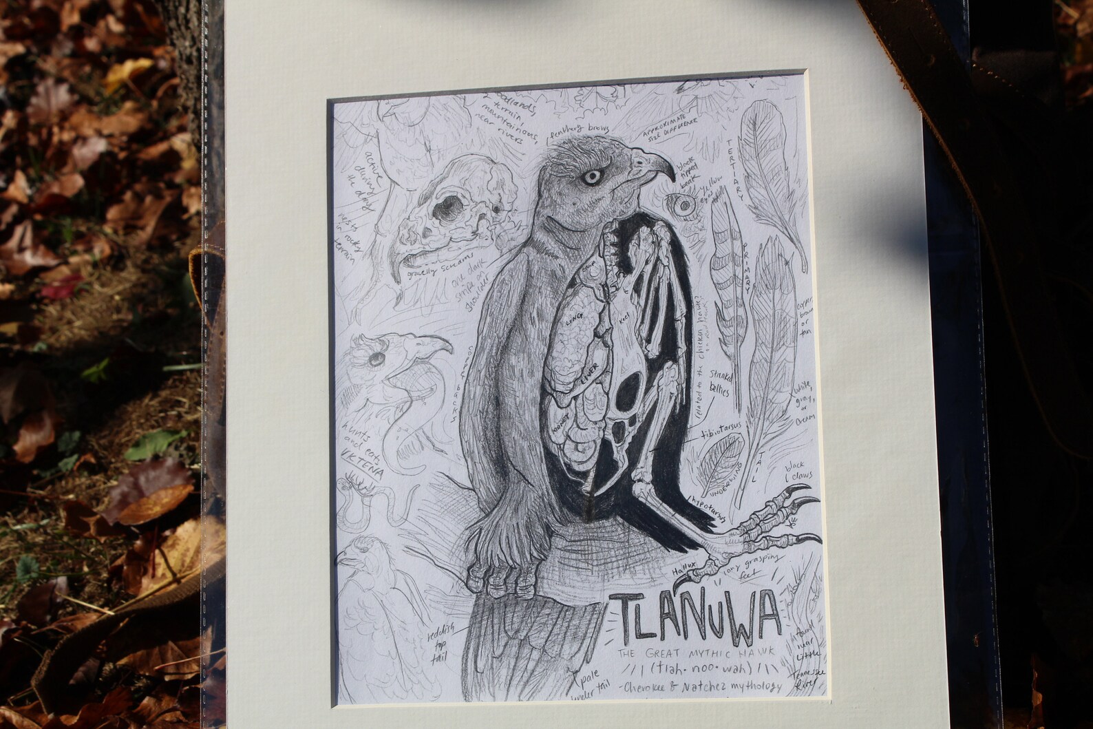 Tlanuwa Hawk Mythological Bird Cryptid Creature Original - Etsy