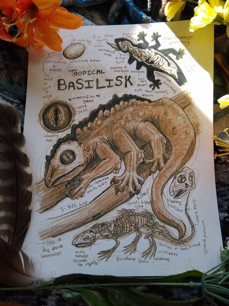 Tropical Basilisk: Fantasy Bestiary Print | Etsy