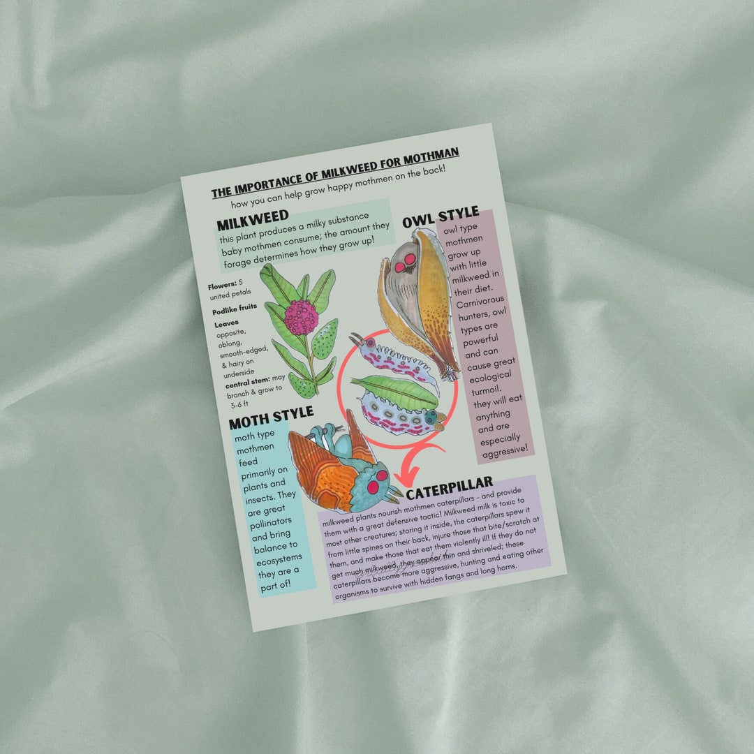 Mothman Life Cycle Cryptid Postcard & Mini Print - Etsy Canada