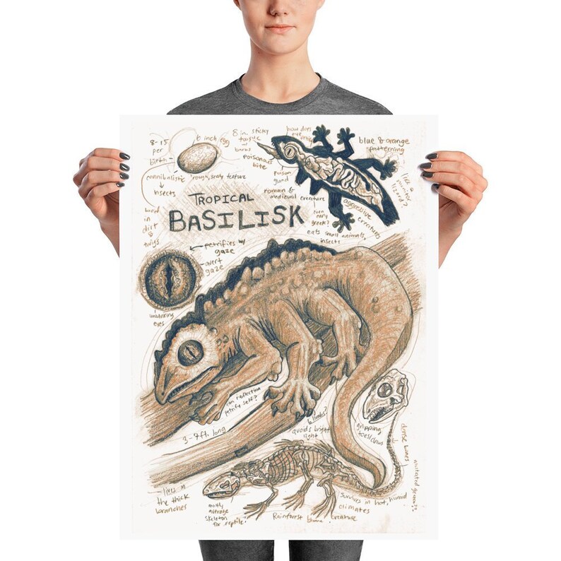 Tropical Basilisk: Fantasy Bestiary Print | Etsy