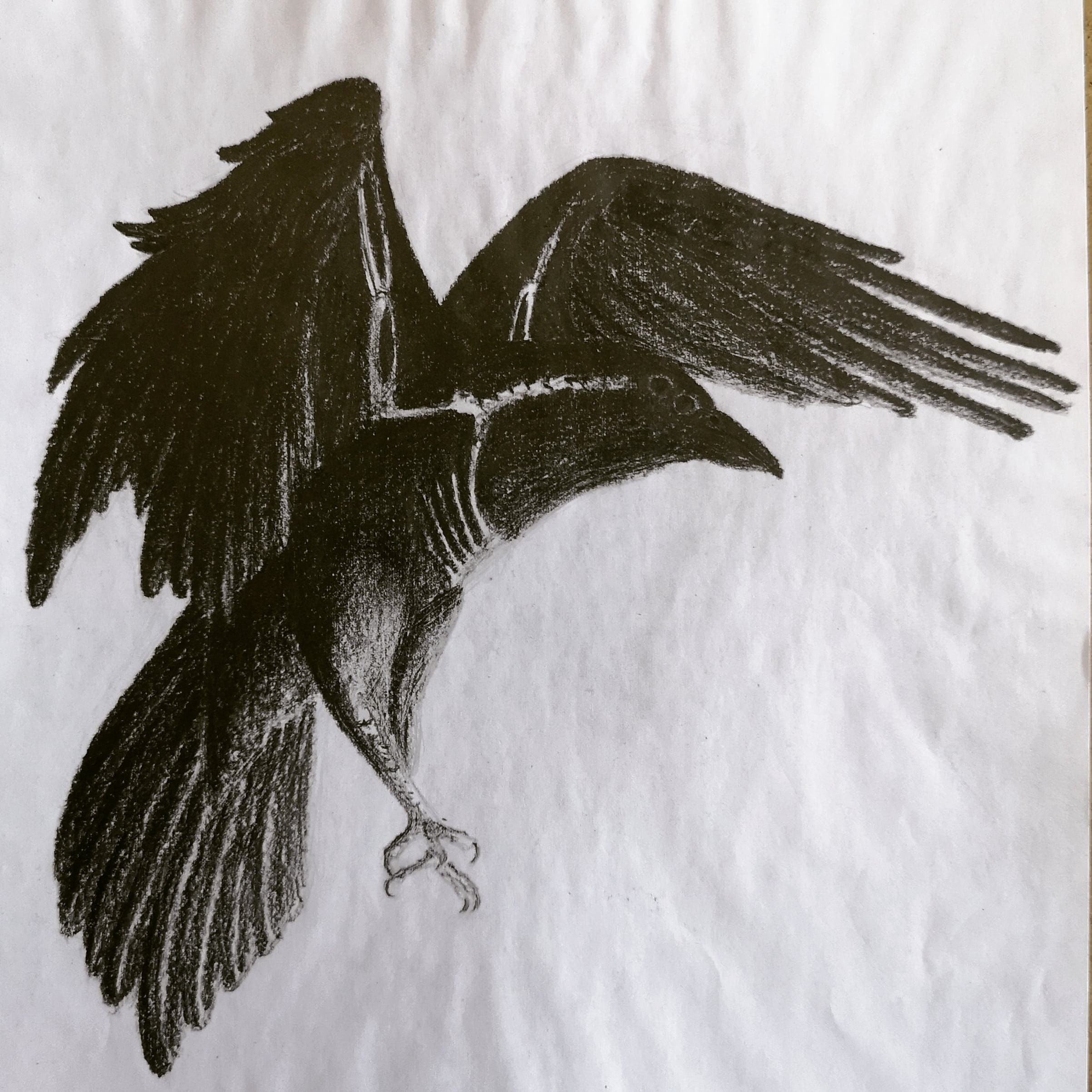 Ghost Ghost Raven Made With Graphit Pen, Interior Decoration - Etsy Sweden