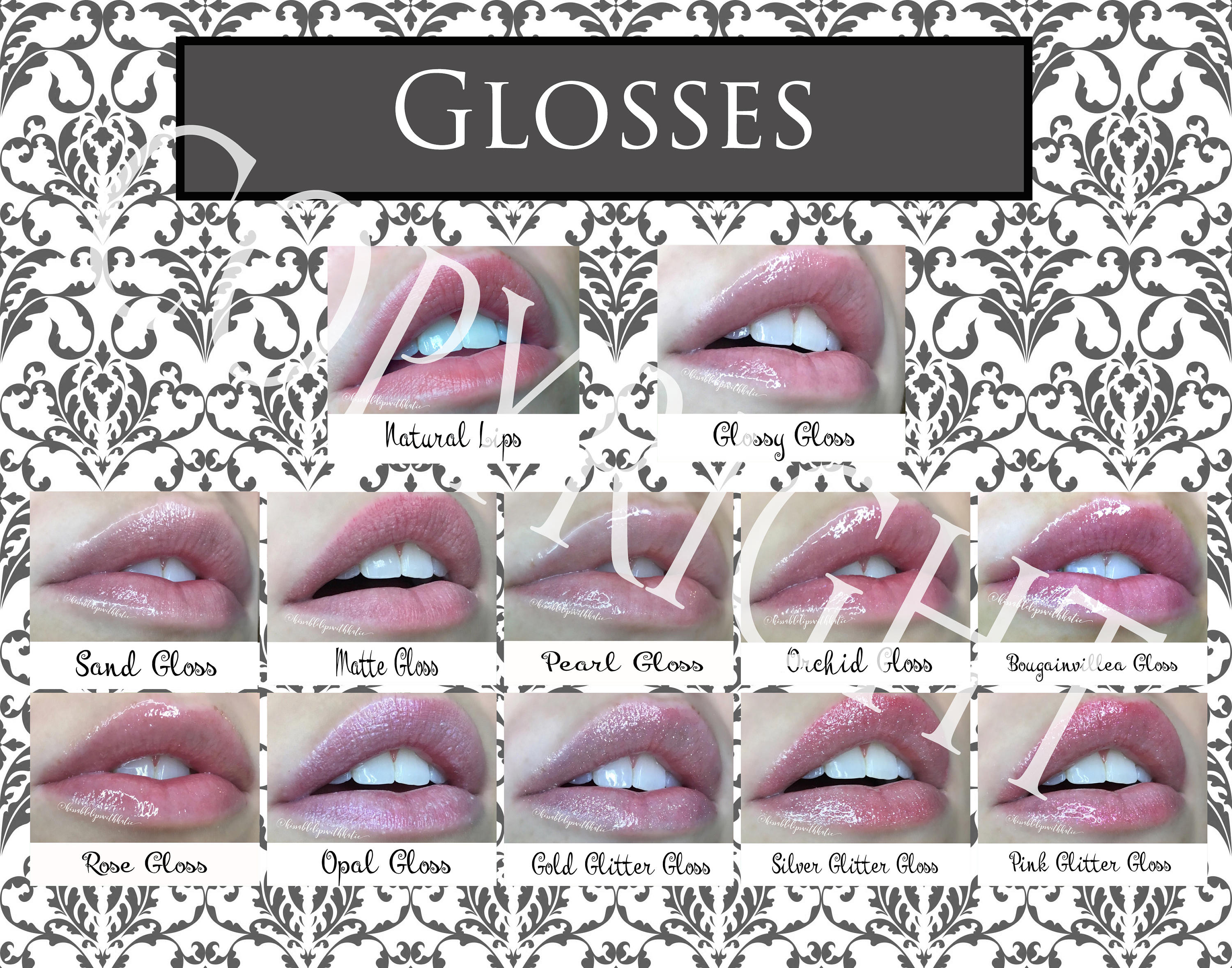 Senegence Gloss Display Graphics - Etsy