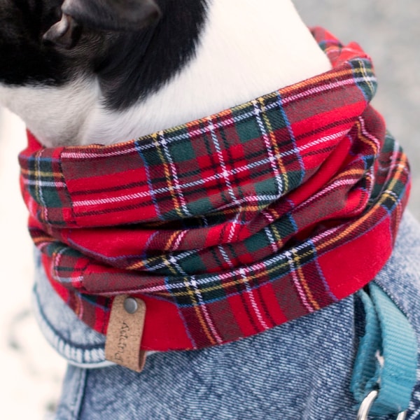 Dog Scarf - Etsy