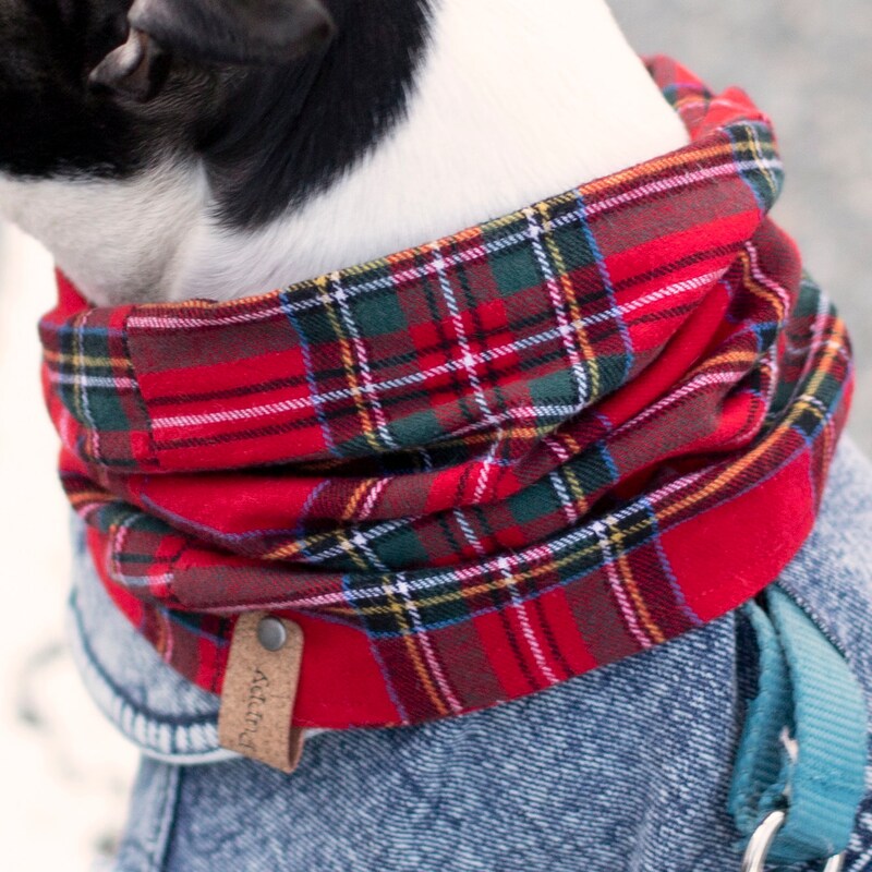 Dog Scarf - Etsy