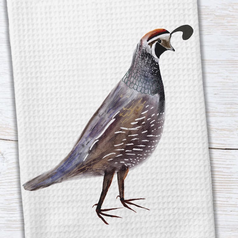 CordiaDesigns - Etsy