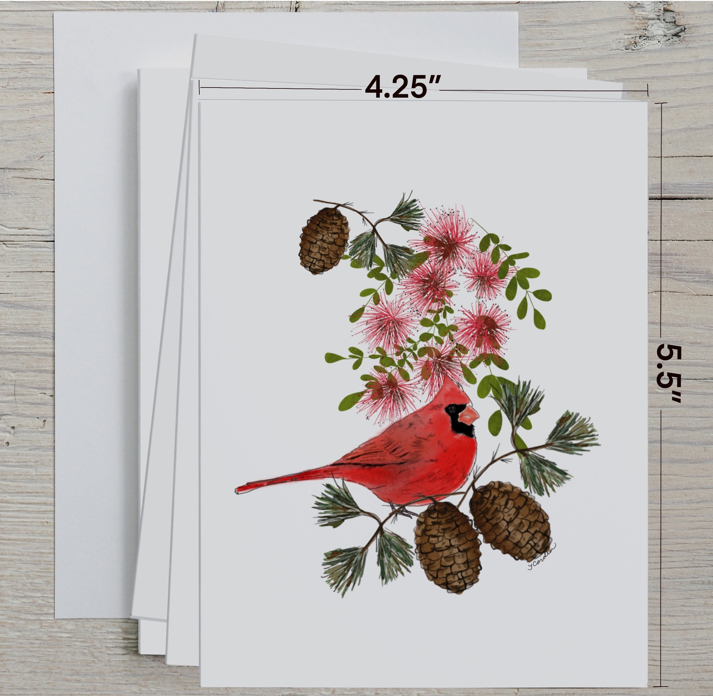 Cardinal Note Cards Set of 4 With Envelopes Watercolor - Etsy