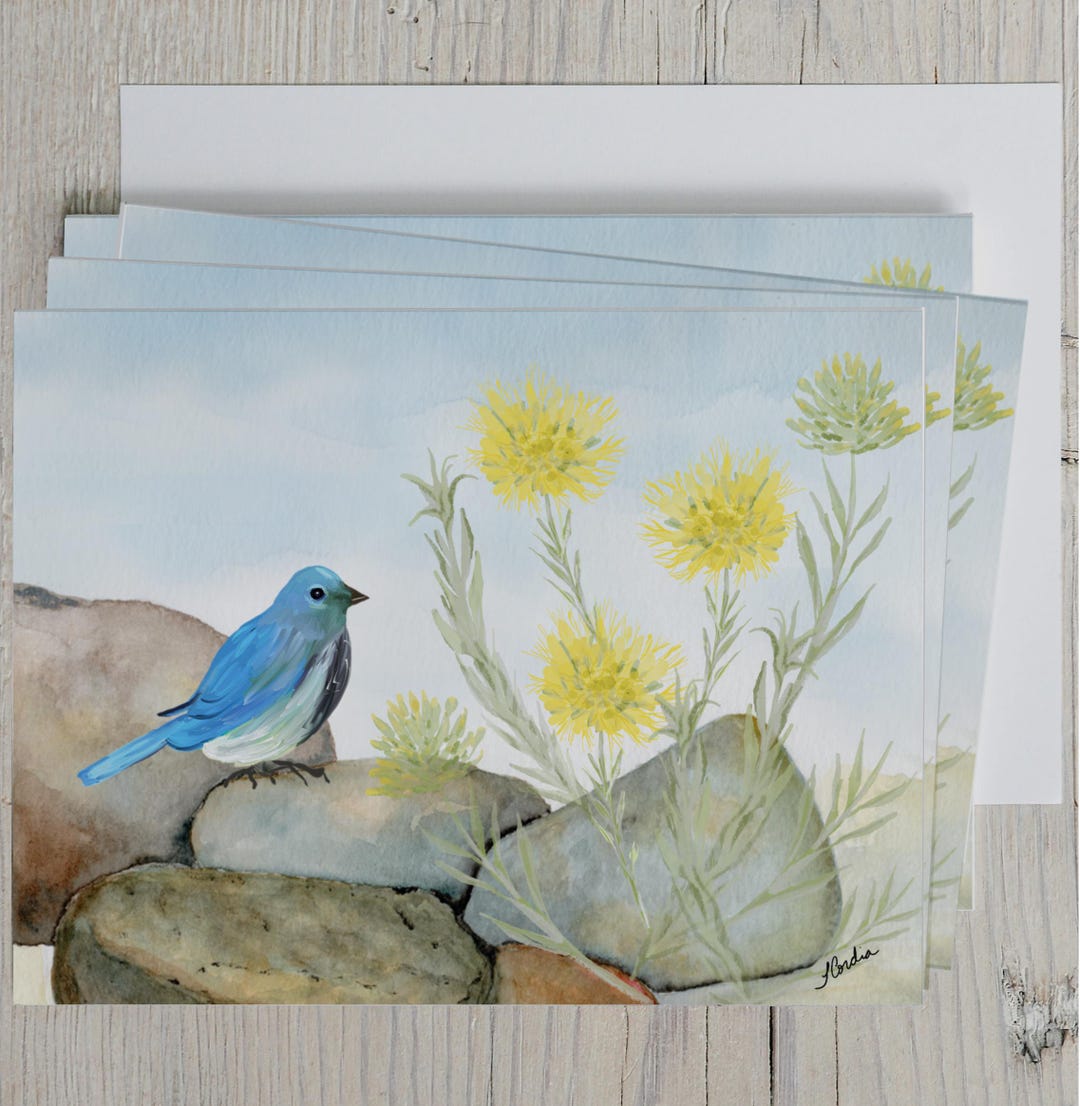 Mountain Bluebird Note Cards, Birds and Nature Card Set With Envelopes ...