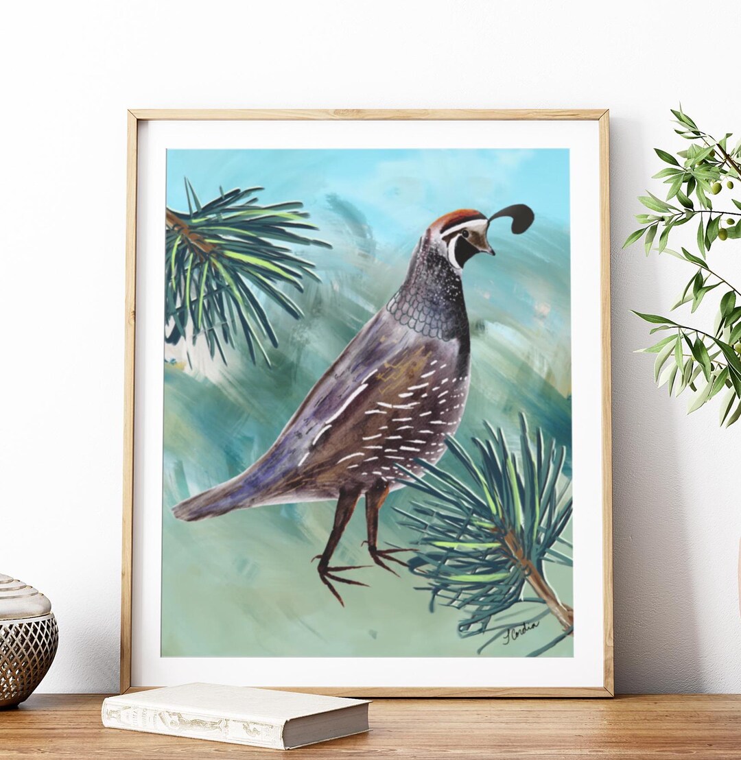 Quail Watercolor Art Print, 8x10 Unframed Bird Print - Etsy