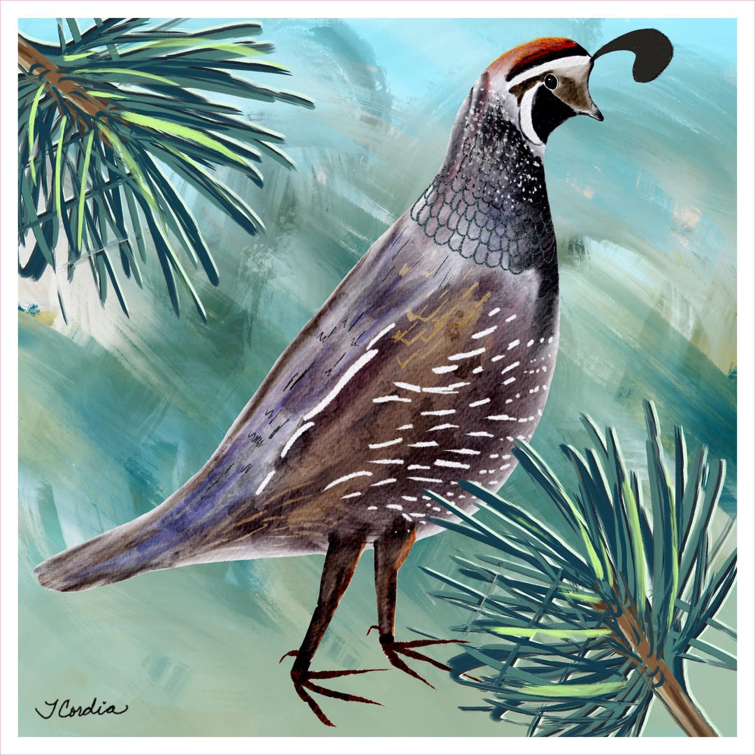 Quail Fabric Art Print, Bird Fabric Art Print - 8.4" X 8.4" - Quilt ...