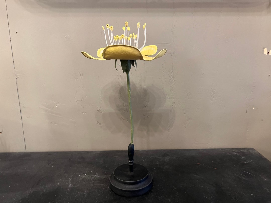 Item Buttercup - Etsy