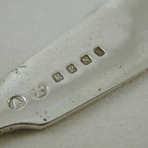 Antique EPNS Silver Plate Mustard Spoon Circa 1920s - Etsy UK