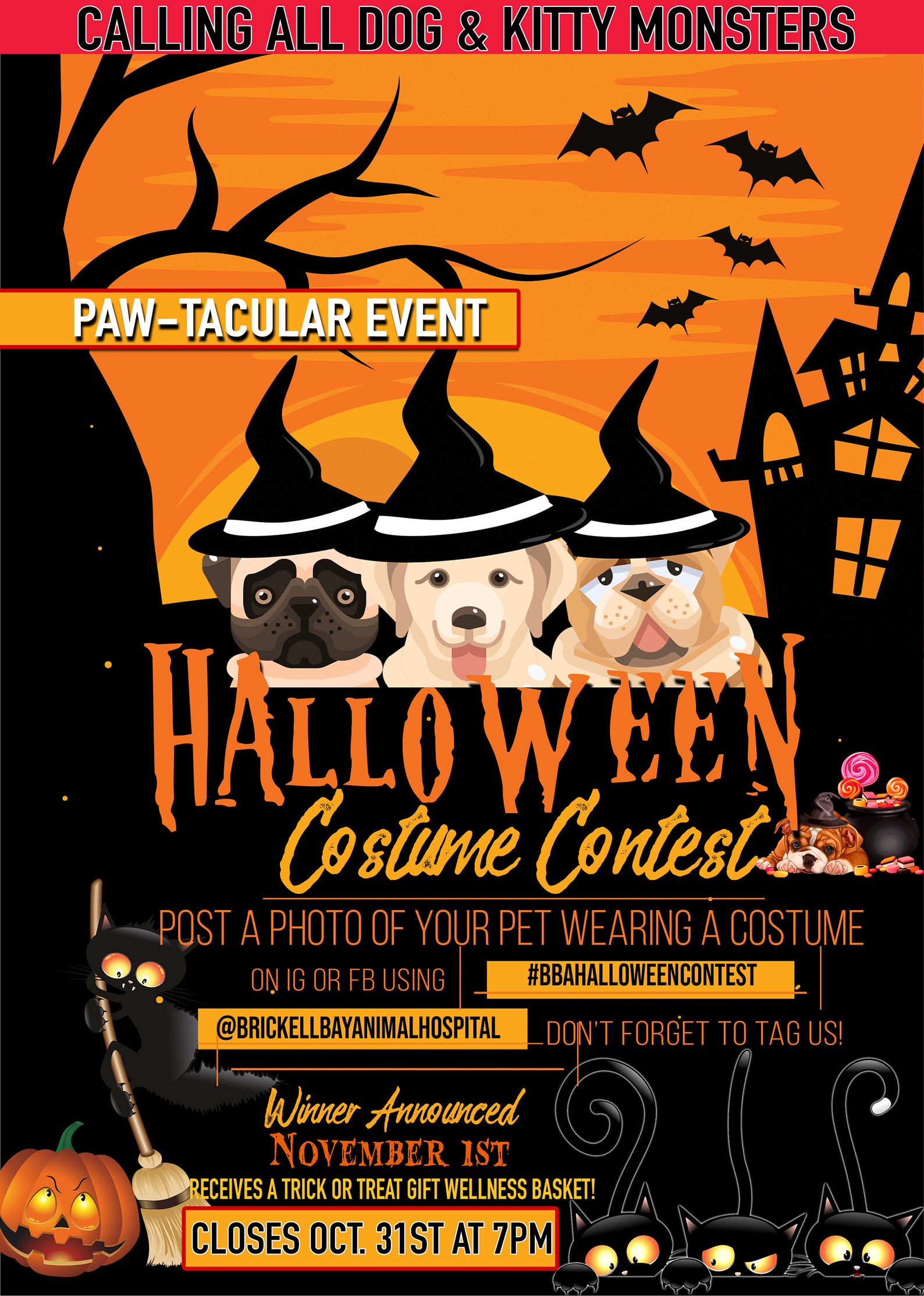 Cat Halloween Party Invite, Dog Halloween Costume Contest, Pet ...