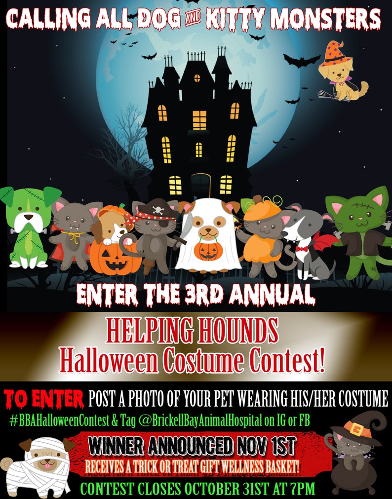 Pet Costume Contests, Pet Halloween Party Invitations, Pet Halloween ...