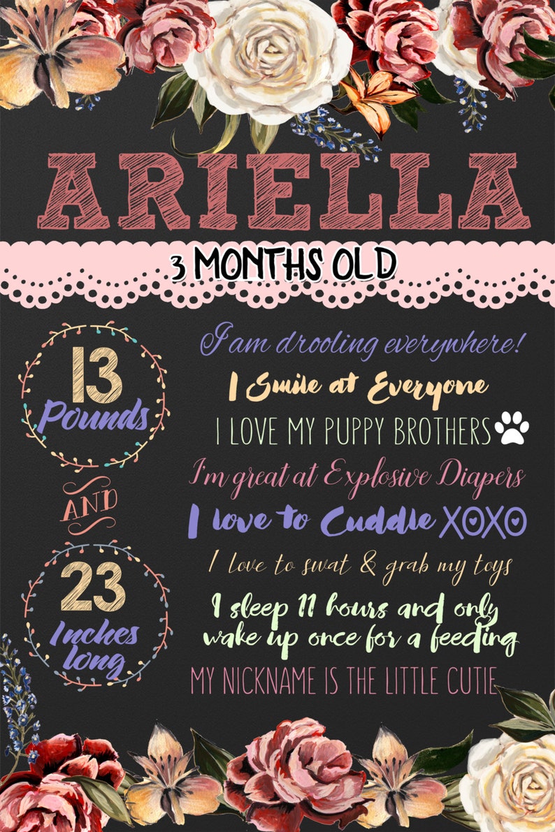 Month by Month Milestone Sign for New Babies Unique Milestone - Etsy