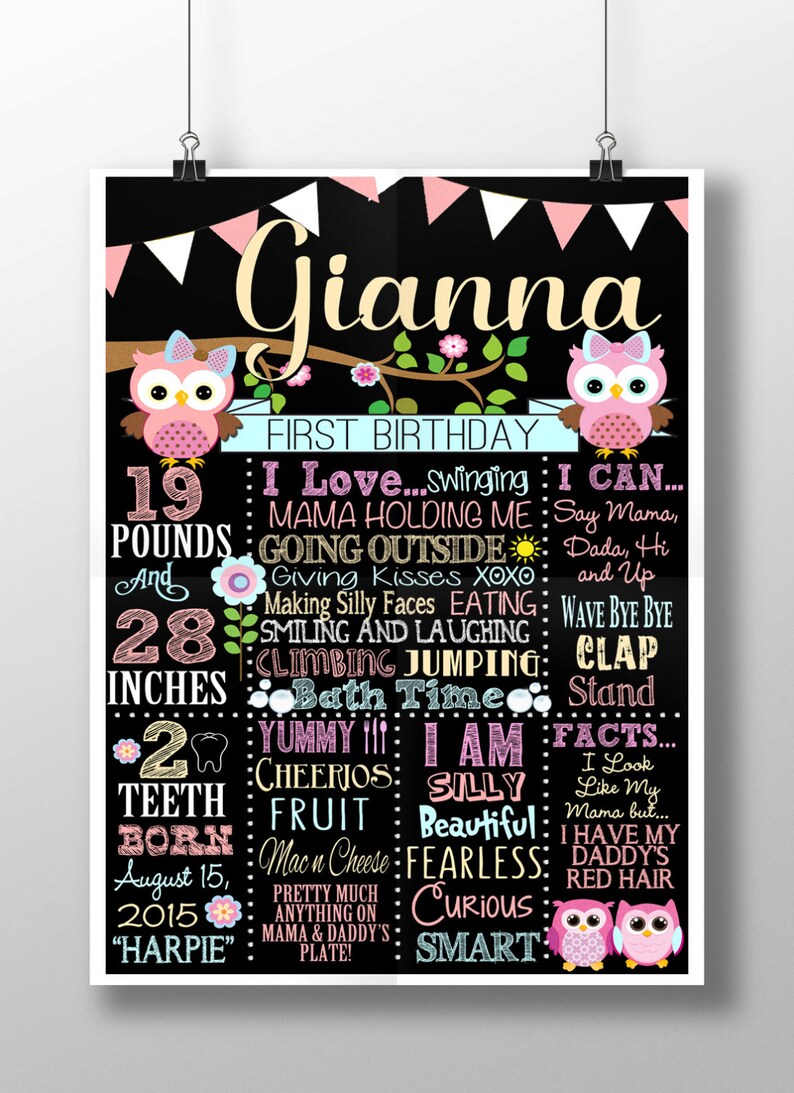 Owl 1st Birthday Decoration, Custom Owl Birthday Party Signs, Girls Owl ...