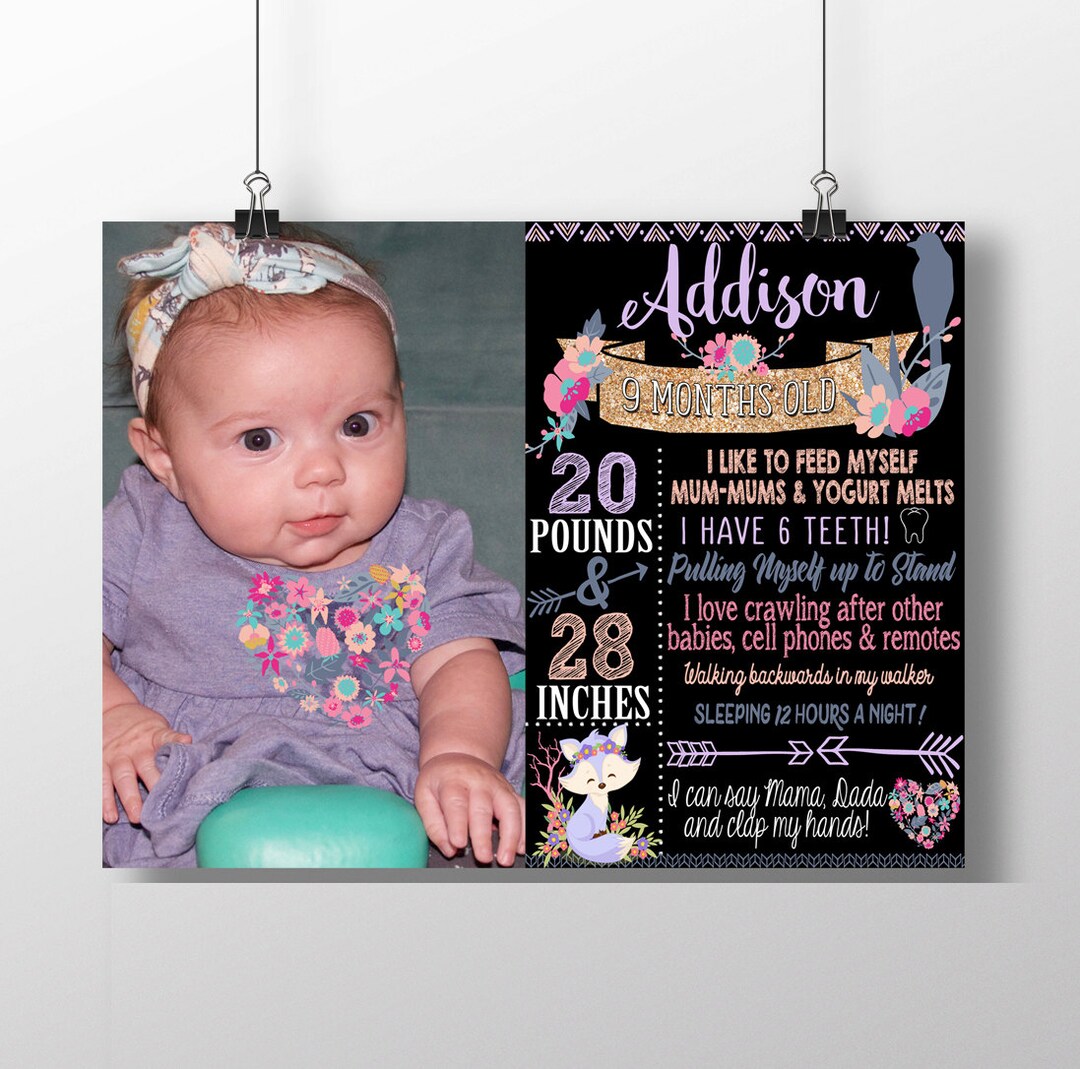 Girl Monthly Milestone Sign, Cute Monthly Milestone Board, Shabby Chic ...