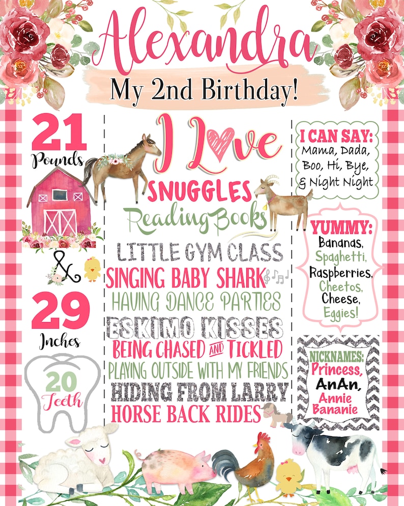 Rustic Farm Birthday Party Theme Girls Farm Birthday Party | Etsy