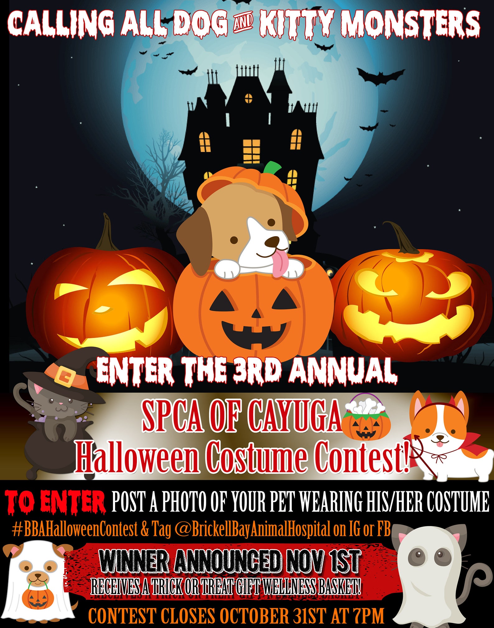 Pet Costume Contests, Pet Halloween Party Invitations, Pet Halloween ...