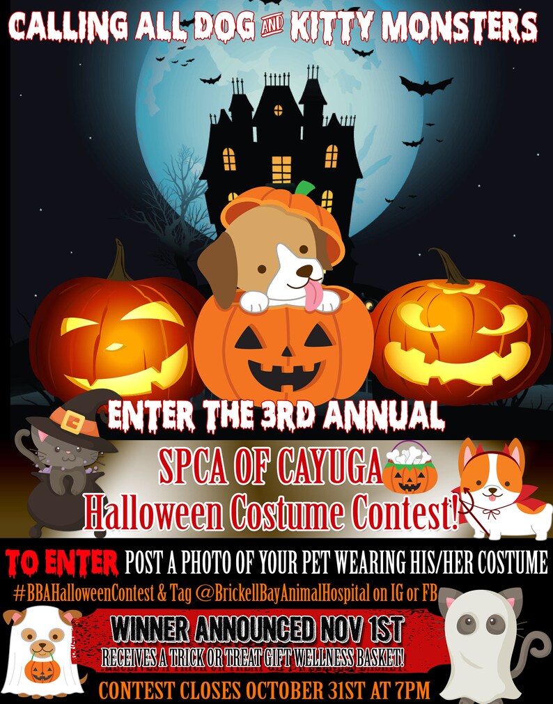 Pet Costume Contests Pet Halloween Party Invitations Pet - Etsy