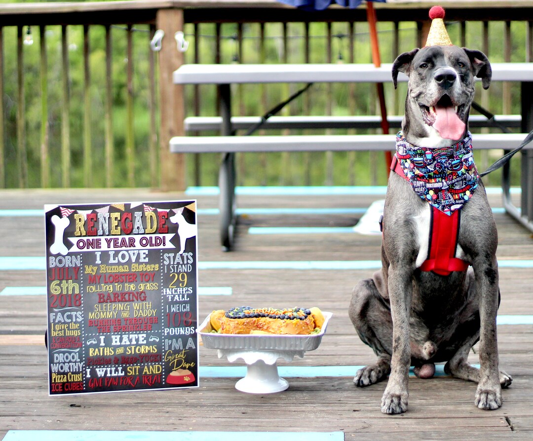 Dogs 1st Birthday, Birthday Party for Dogs, Birthday Board for Pets ...