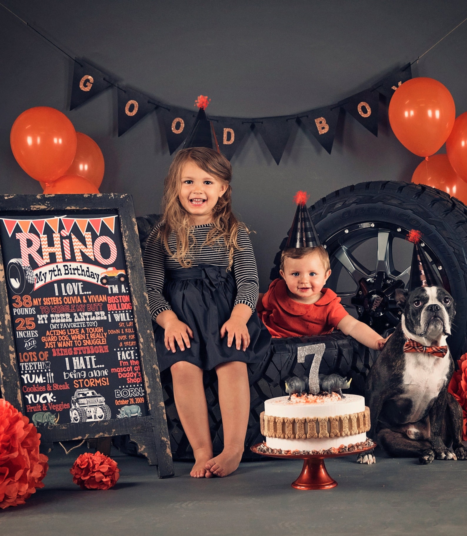 Dog Smash Cake, Dogs Birthday Party, Dog Birthday Board, Dog Birthday ...