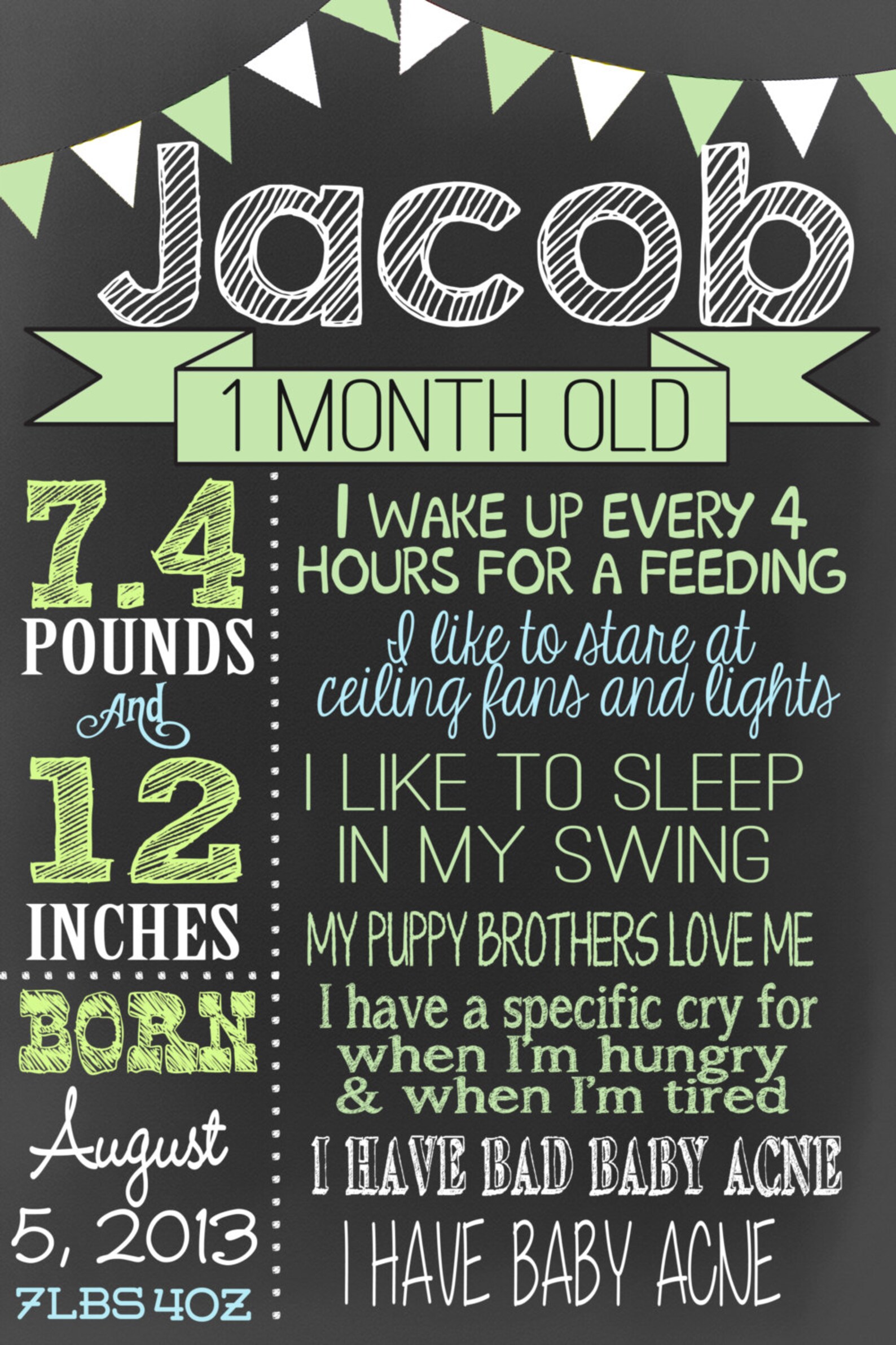 Monthly by Month Milestone Sign for New Babies, Unique Milestone ...