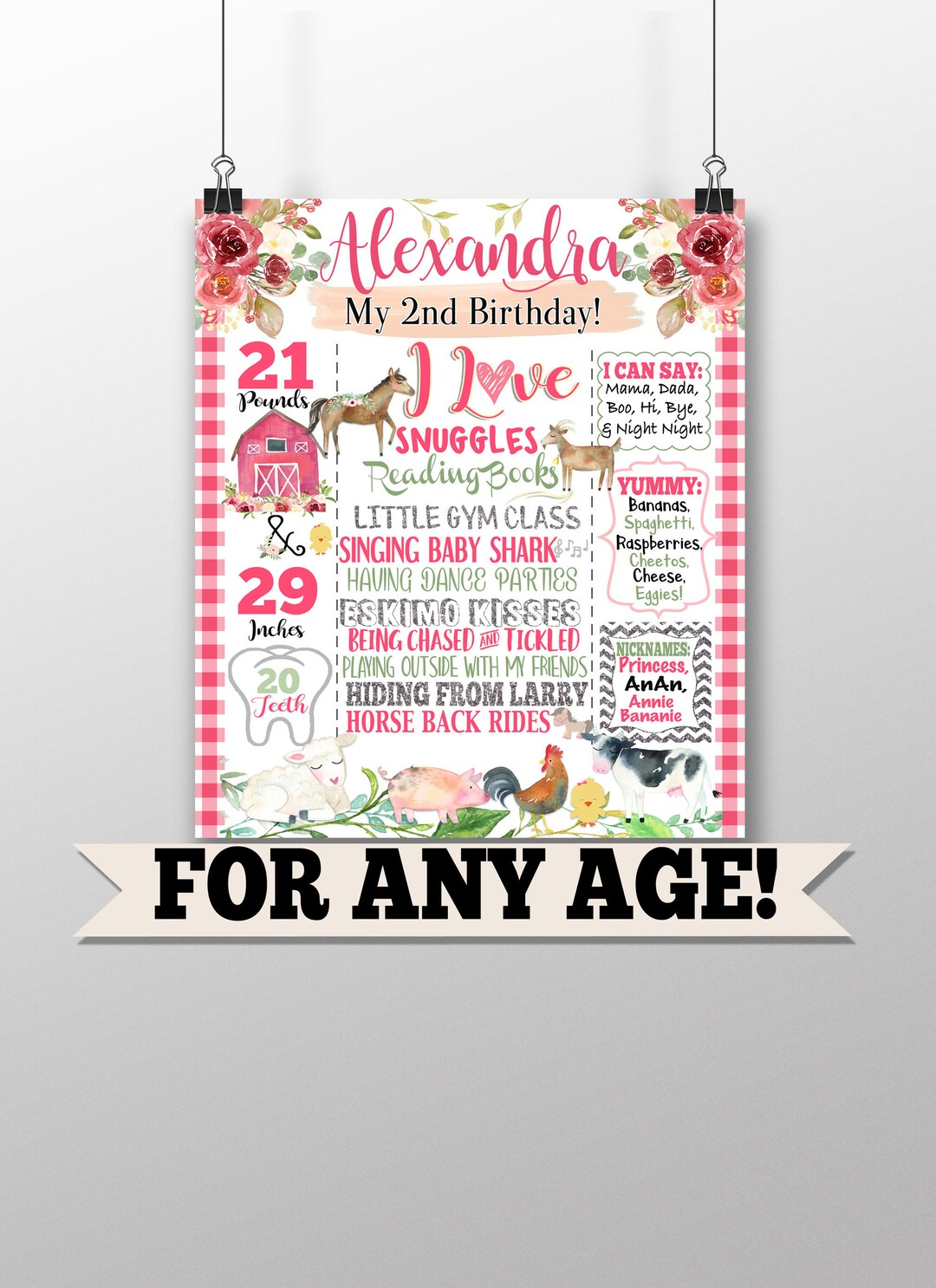 Rustic Farm Birthday Party Theme, Girls Farm Birthday Party, Pink ...