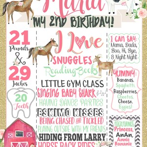 Rustic Farm Birthday Party Theme, Girls Farm Birthday Party, Pink ...