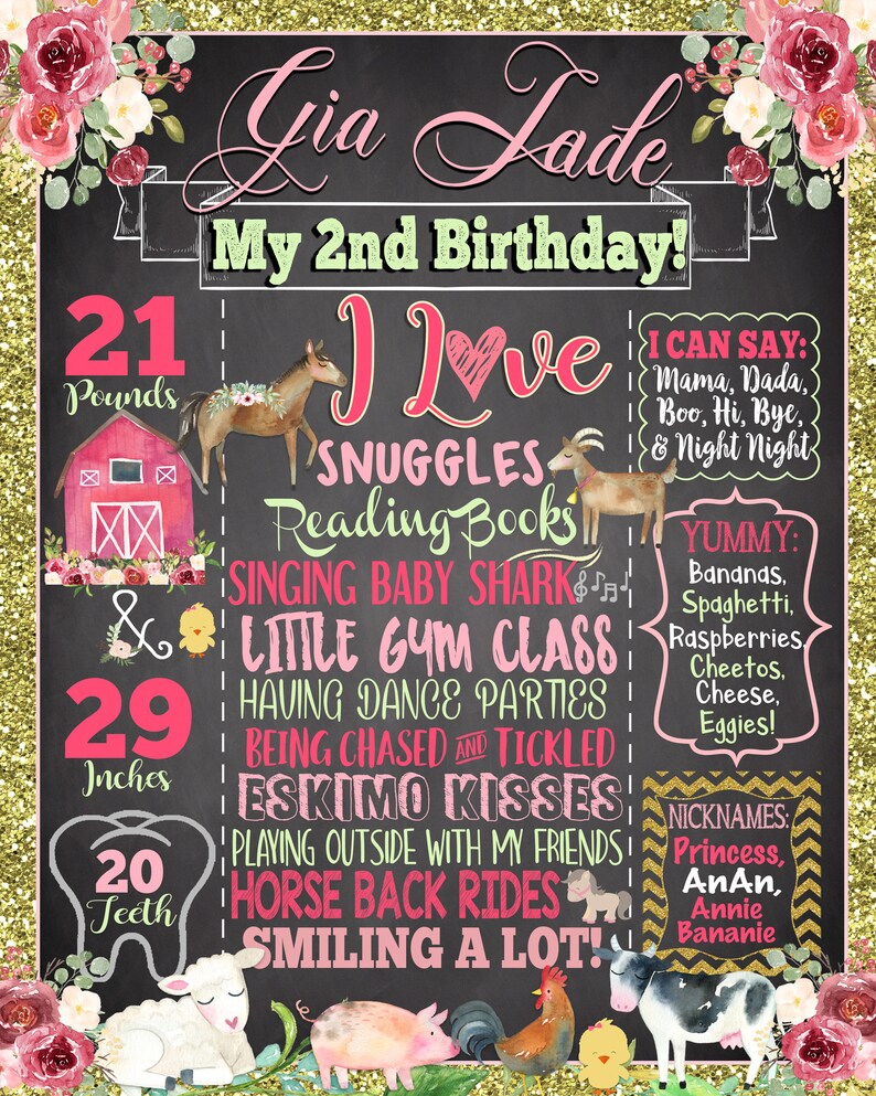 Rustic Farm Birthday Party Theme Girls Farm Birthday Party | Etsy