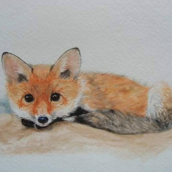 Kit Fox - Etsy