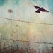 She Had Wings On - Etsy