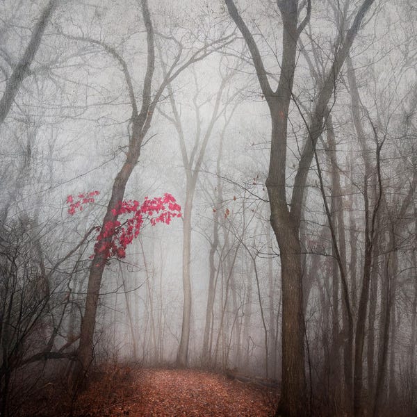 Jamie Heiden Photography - Etsy