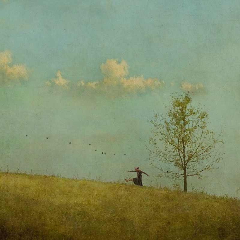 Jamie Heiden Photography - Etsy