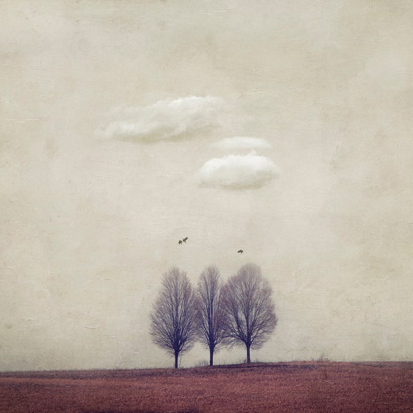 Jamie Heiden Photography - Etsy