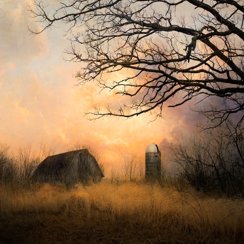 Jamie Heiden Photography - Etsy