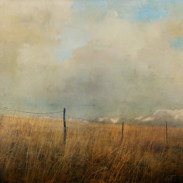 Jamie Heiden Photography - Etsy