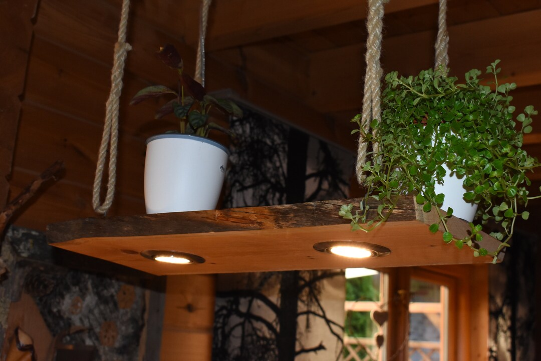 LED Ceiling Light for Living Room or Dining Room Made of Lapland Kelo ...