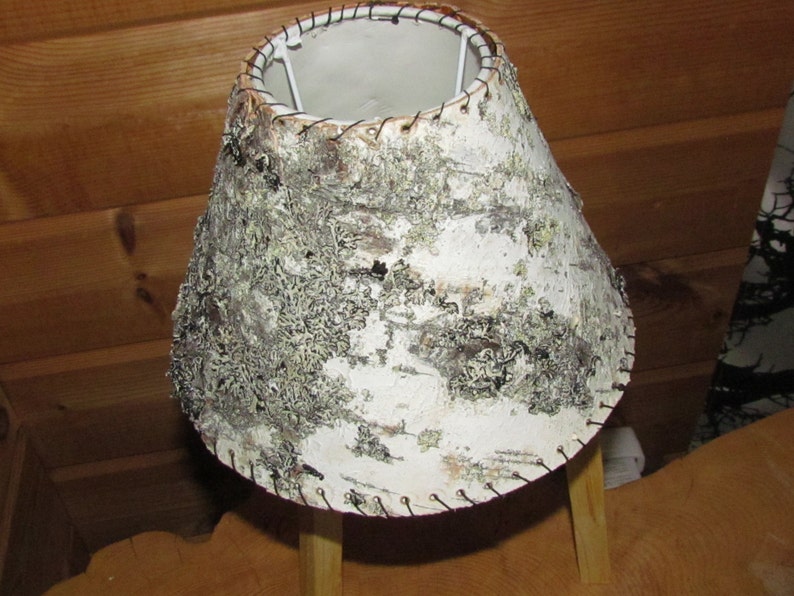Wood Lamp Table Lamp With Birch Bark Shade - Etsy