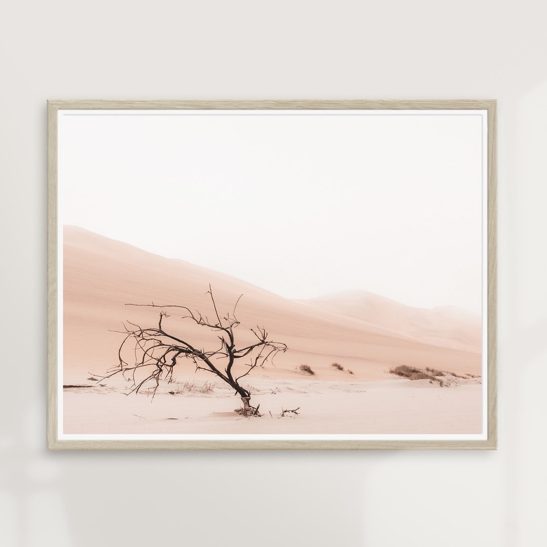 Scorched Tree | Landscape Photography, Sand Dune Desert, Nature ...